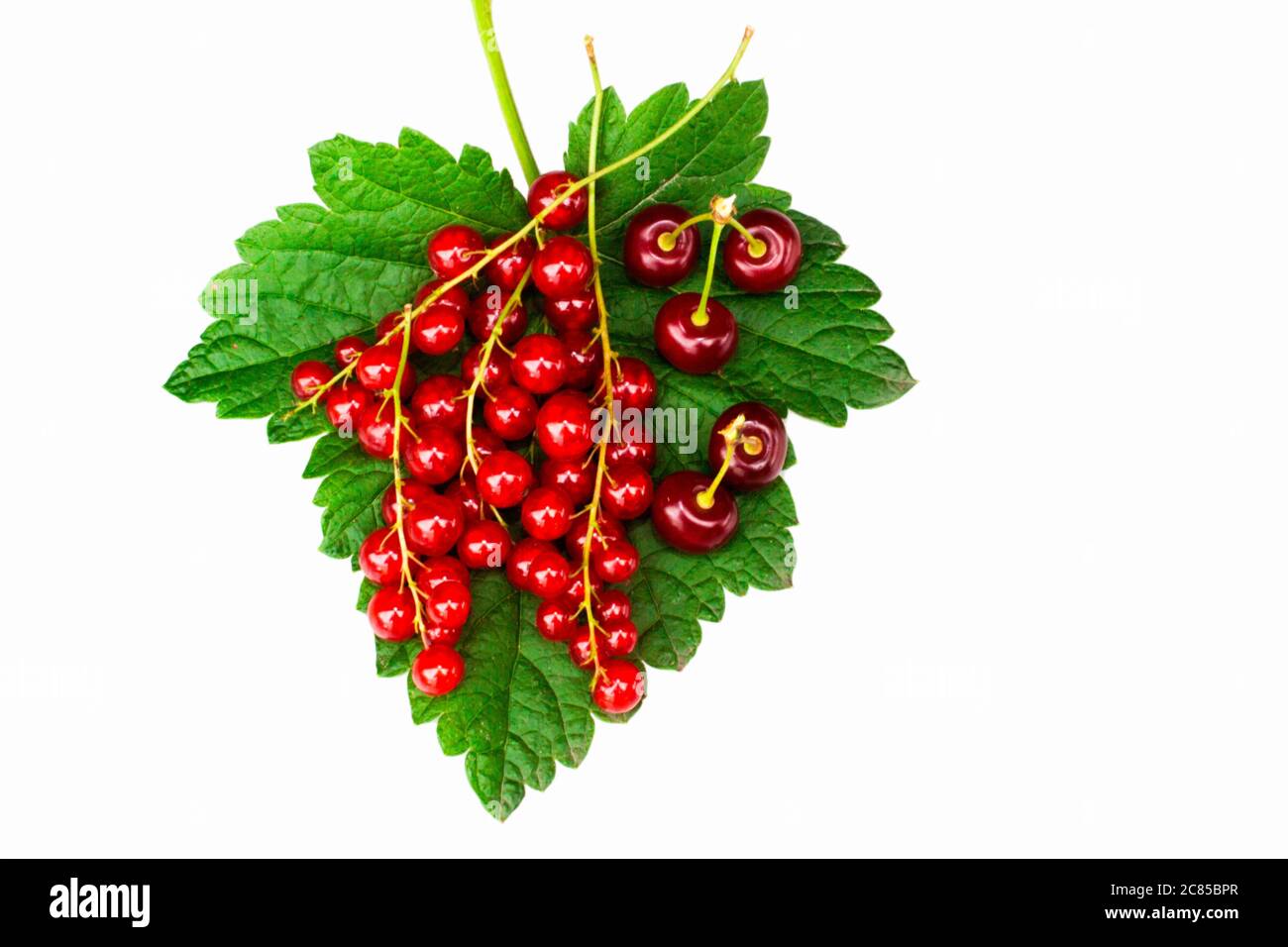 green currant leaf and currant and cherry fruit Stock Photo - Alamy