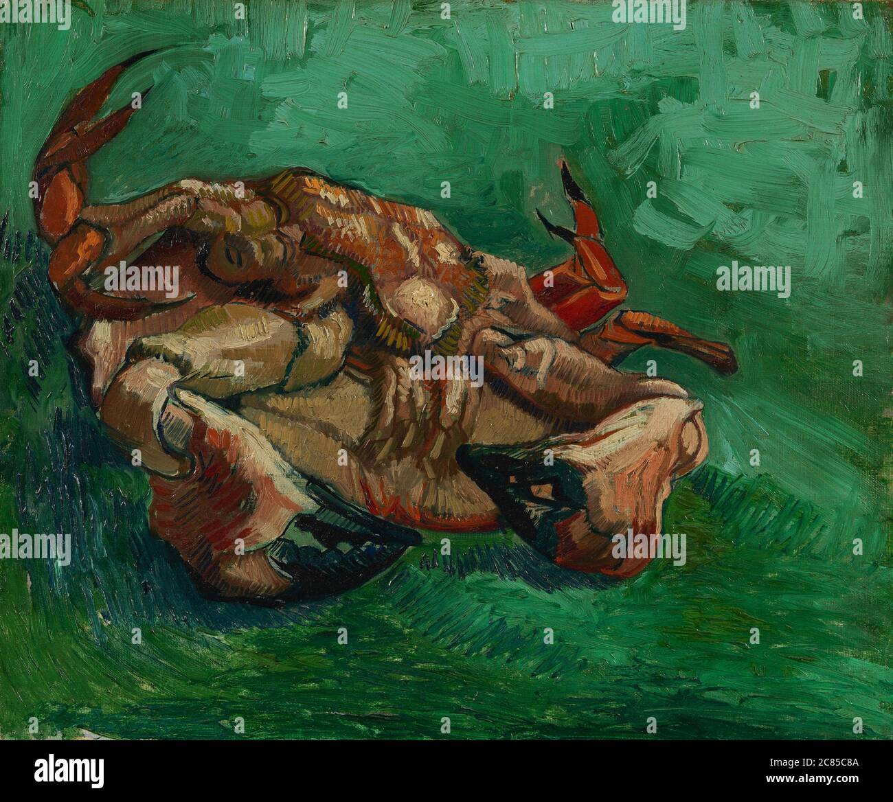 Crab On Its Back High Resolution Stock Photography and Images - Alamy