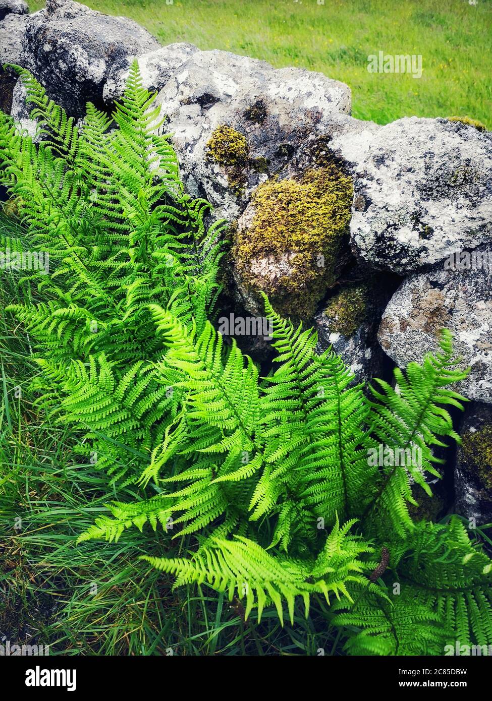 Irish landscapes hi-res stock photography and images - Alamy