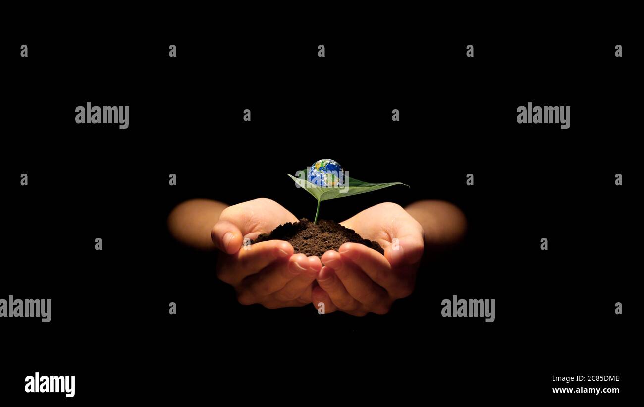 Save green on earth concept, open hands protect earth and plant ...