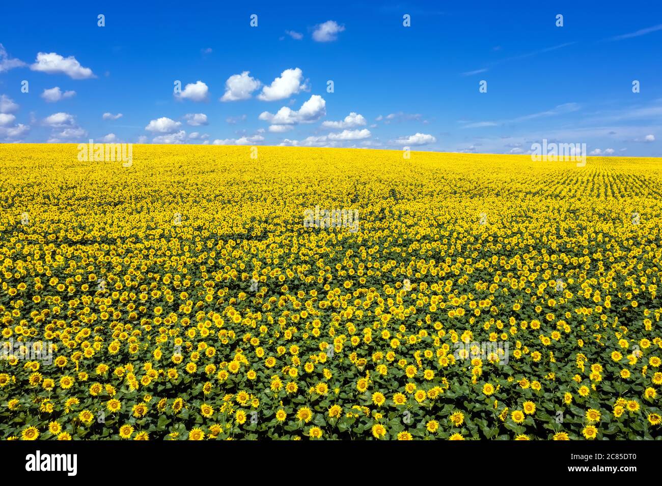 Beautiful field view hi-res stock photography and images - Alamy