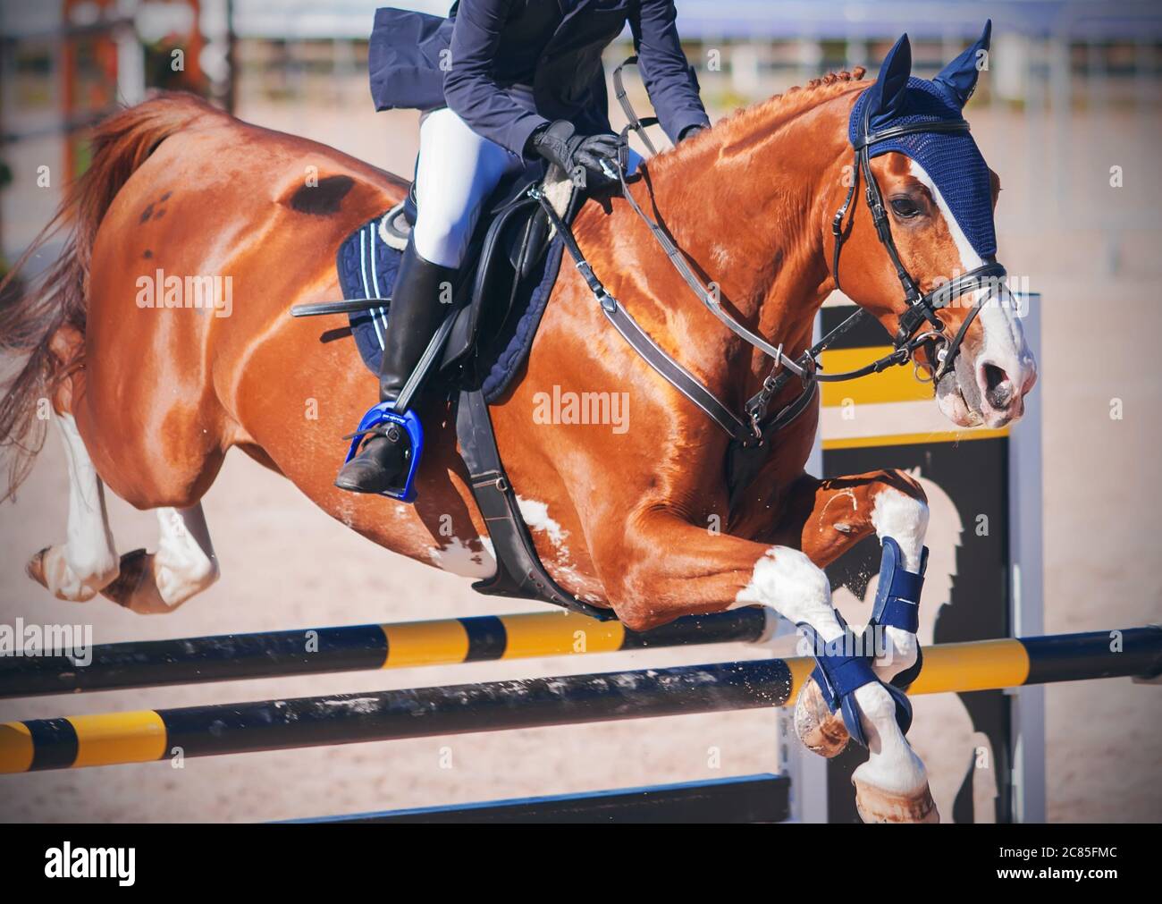 Equestrian show jumping hi-res stock photography and images - Alamy