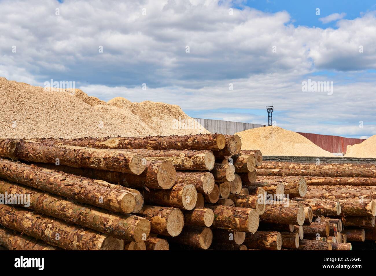 stacks of unbarked logs and pile of wood sawdust in a vast lumber yard ...