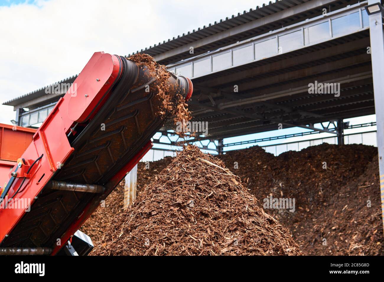 close-up conveyor of an industrial wood shredder producing wood chips ...