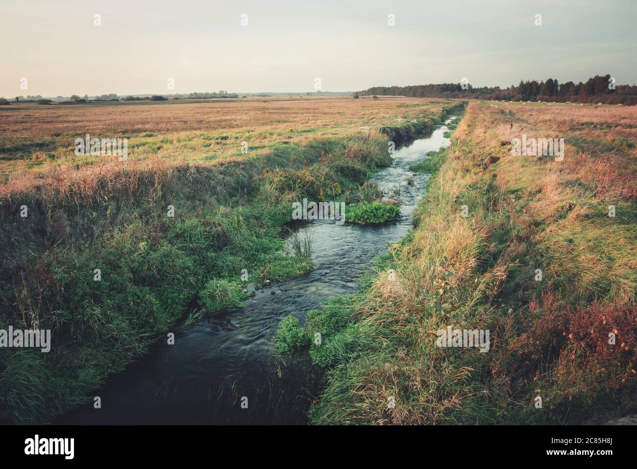 Small park grass land hi-res stock photography and images - Alamy