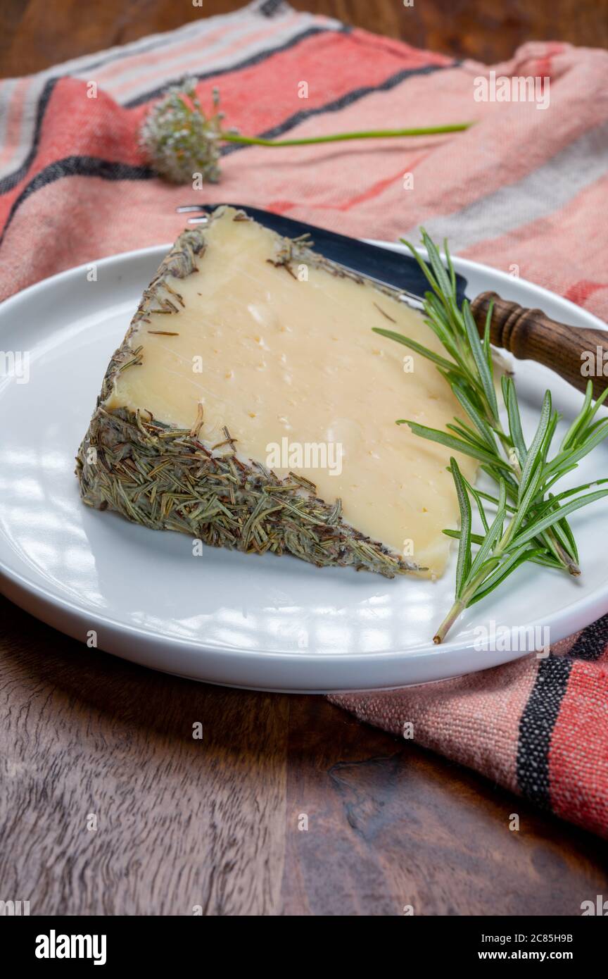 Spanish cheese collection, pieces of sheep hard cheese made with ...