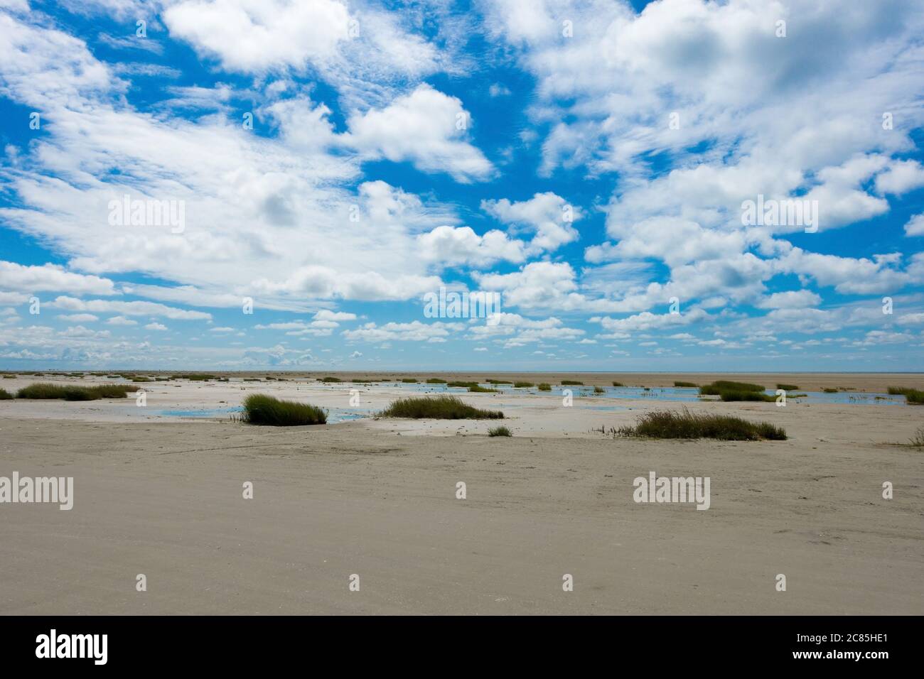 Tidal Ecosystem High Resolution Stock Photography and Images - Alamy