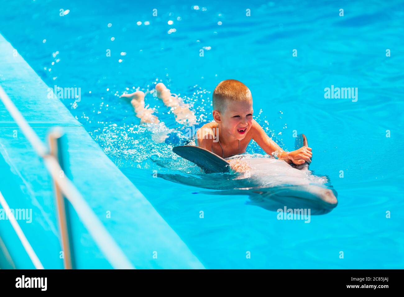 Rehabilitation therapy animal hi-res stock photography and images - Alamy