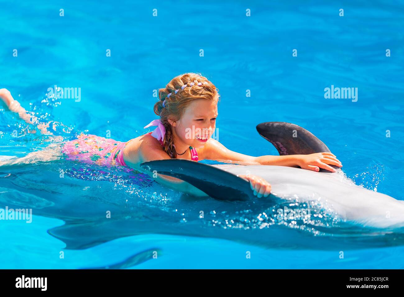Dolphin Assisted Therapy High Resolution Stock Photography and Images ...