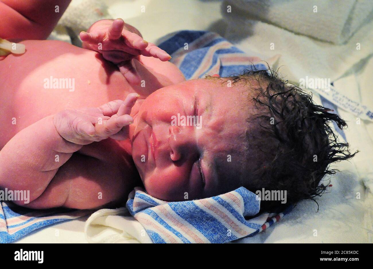 A newborn baby boy less than 30 minutes old Stock Photo - Alamy