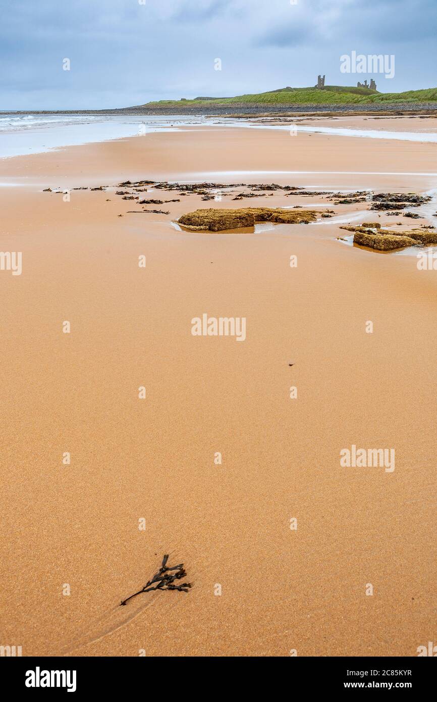Looking south along Embleton Beach towards Dunstanburgh Castle ...