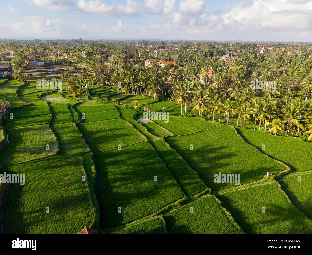 Ubud landscape hi-res stock photography and images - Alamy