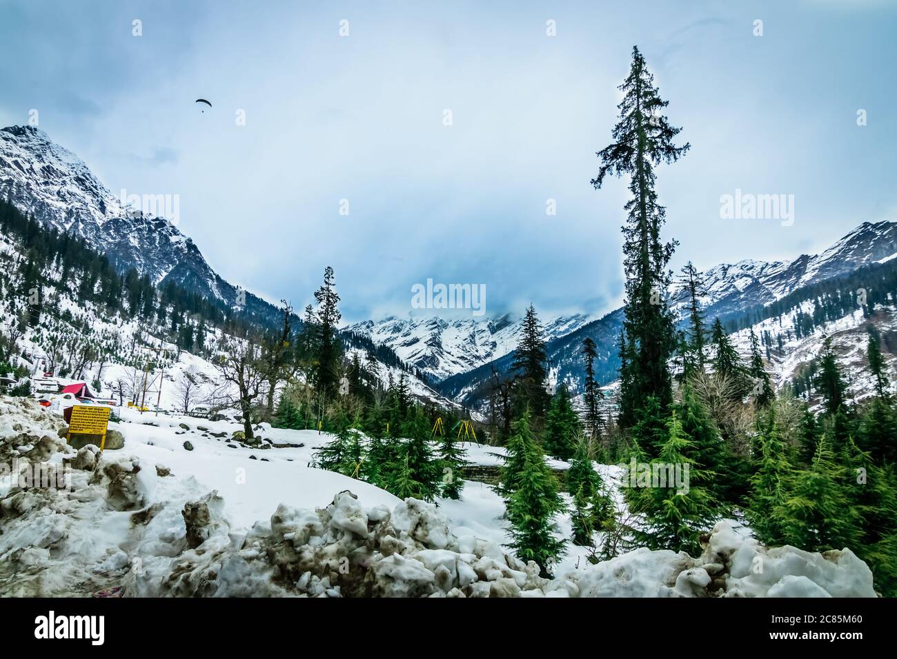 A landscape involving snow capped valley with pine trees and mountains ...