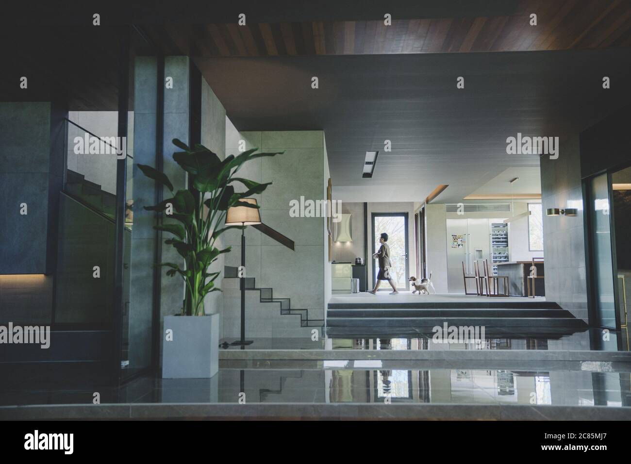 Parasite Gisaengchung Year : 2019 South Corea Director : Joon Ho Bong ...