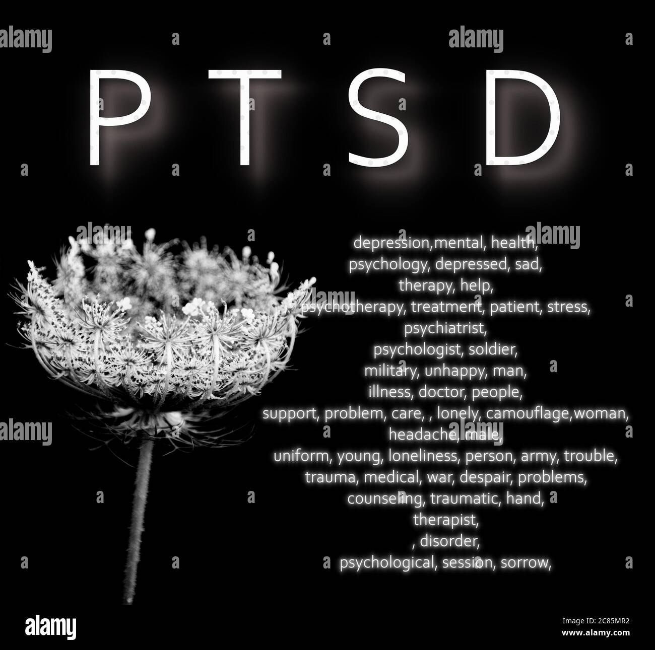 text ptsd and keywords on a black and white picture of a wild herb ...