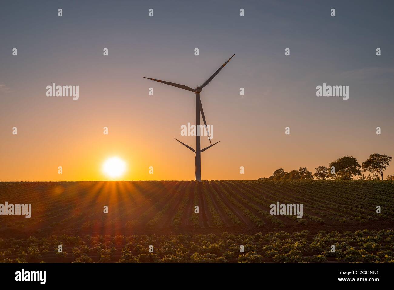 Wind farm in the field Stock Photo - Alamy