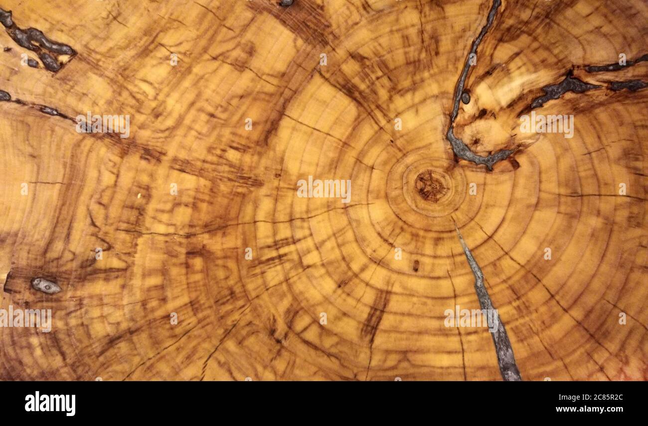 Texture cut wood. Beautiful wooden background. Concept image Stock ...