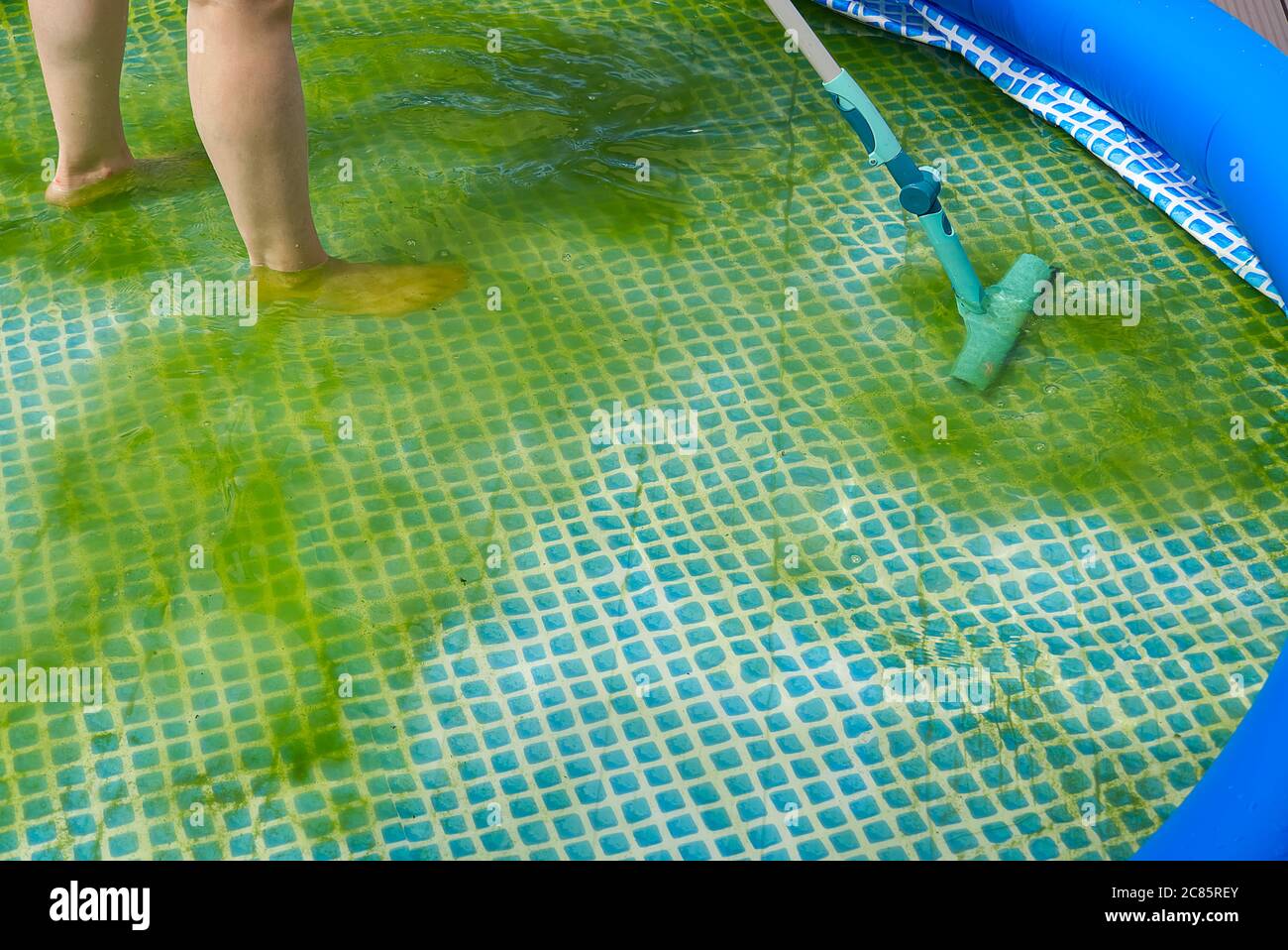 Cleaning Pool With Algae at Stephanie Wolfe blog Cleaning Pool With Algae at Stephanie Wolfe blog