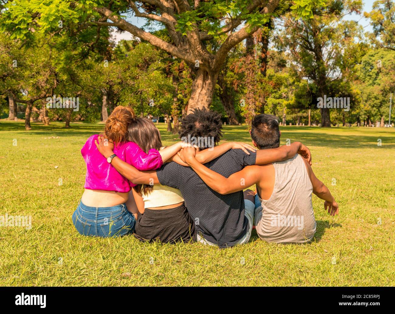 A group of friends sitting together in a park and hugging each other ...