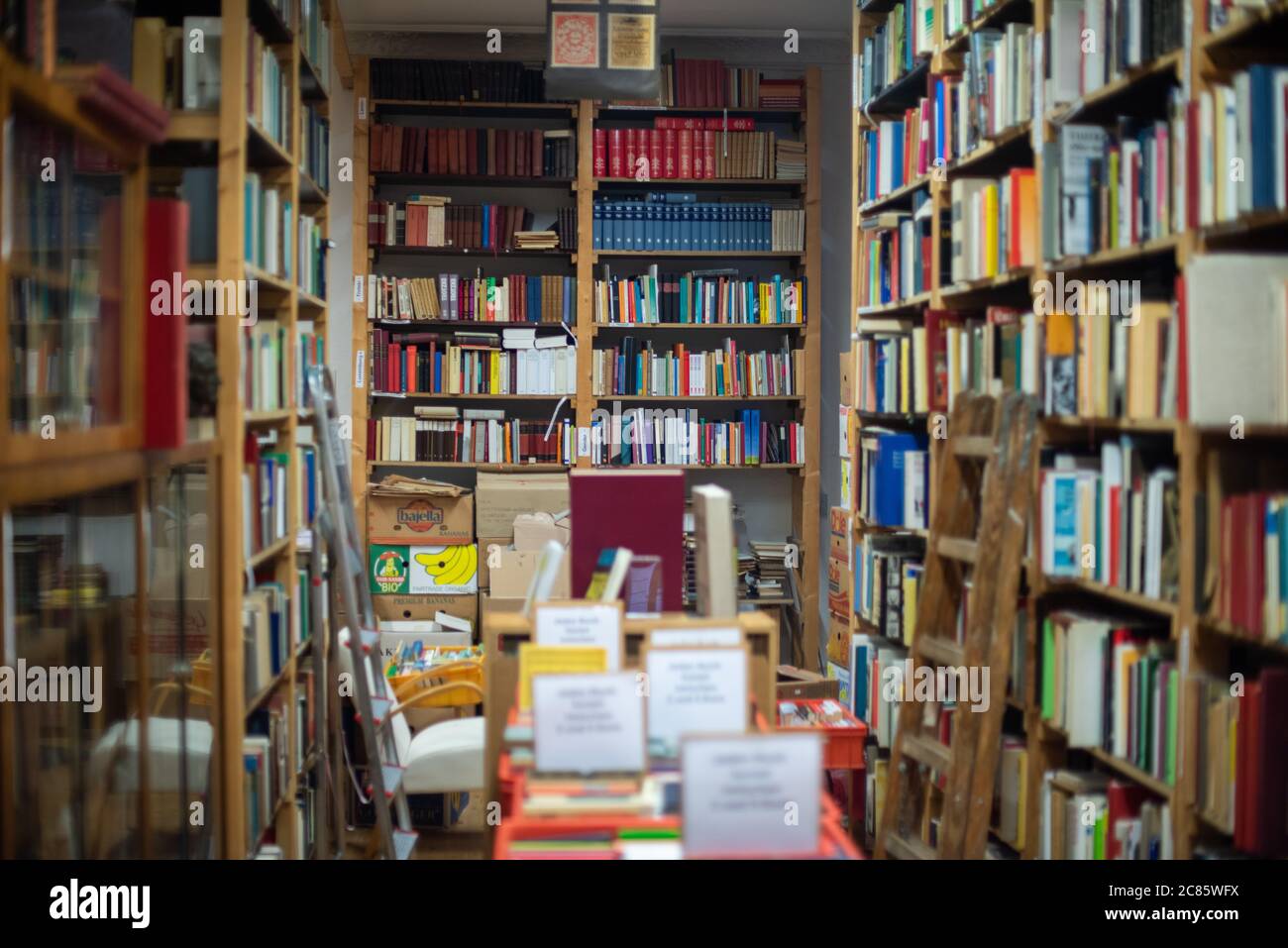 Berlin, Germany October 2019 Books on the shelf in a public bookstore ...