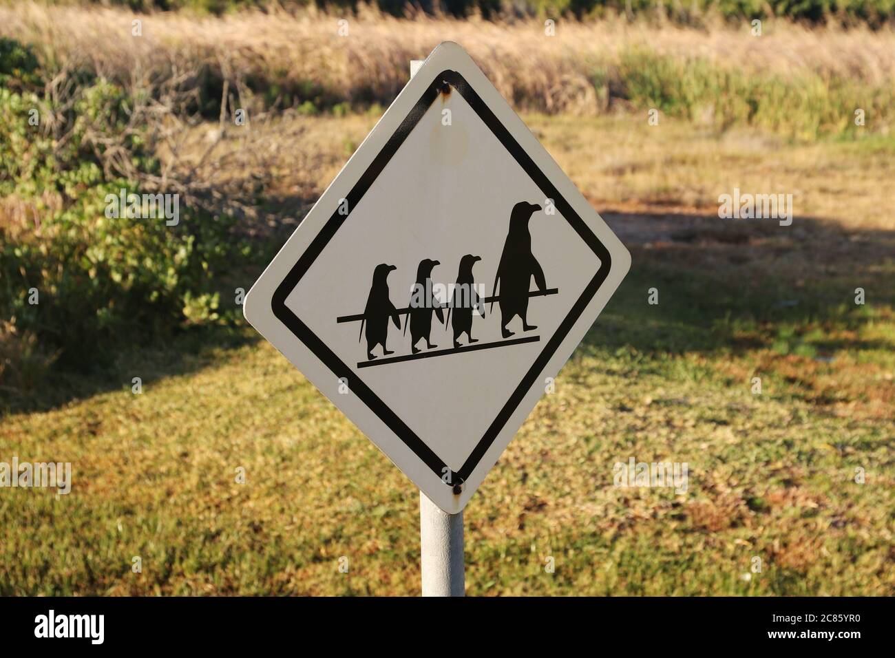 Traffic sign with birds on Stock Photo - Alamy