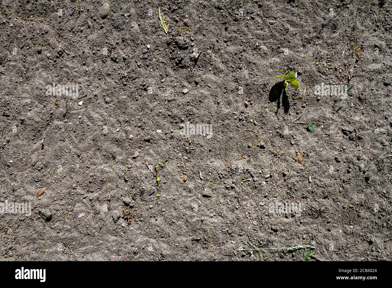 Abstract ground texture with clumps. Soil background Stock Photo - Alamy