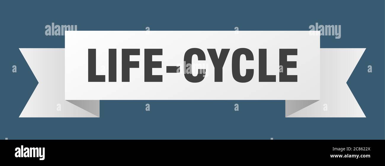 life-cycle ribbon. life-cycle paper band banner sign Stock Vector Image ...