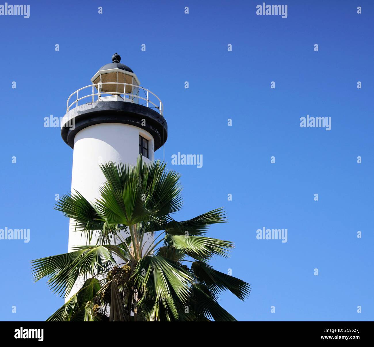 Lighthouse behind a palm tree in tropical Rincon Puerto Rico Stock ...
