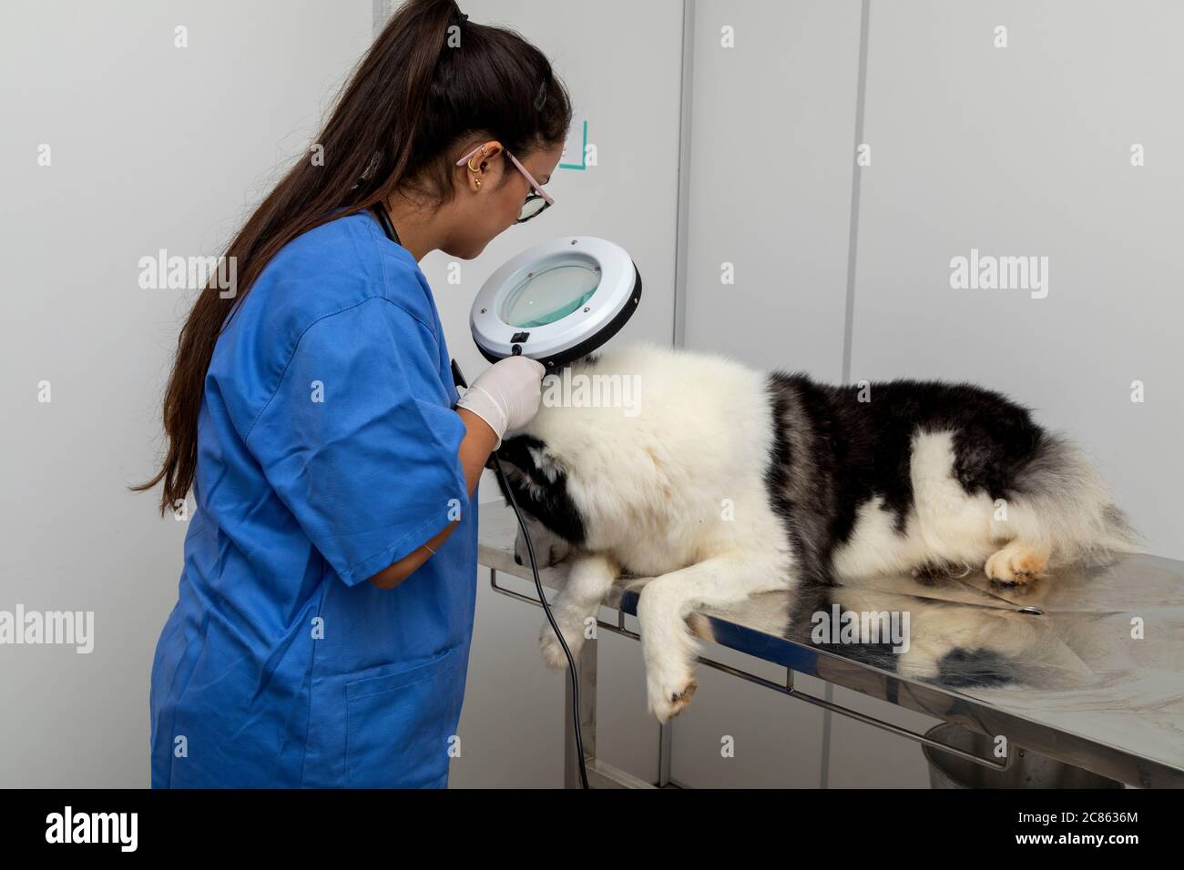 Examine skin hi-res stock photography and images - Alamy