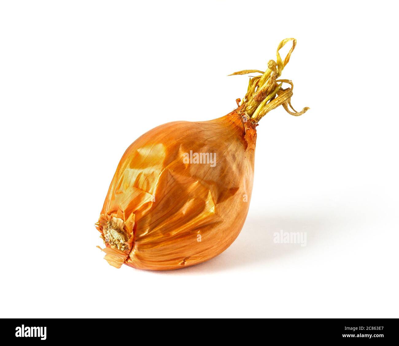 Dried onion on a white background. Isolated Stock Photo - Alamy