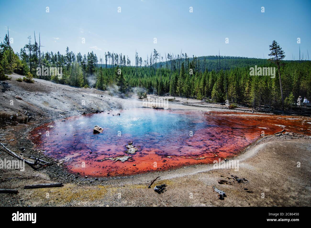 Geothermal pool in Yellowstone National park, Wyoming Stock Photo - Alamy