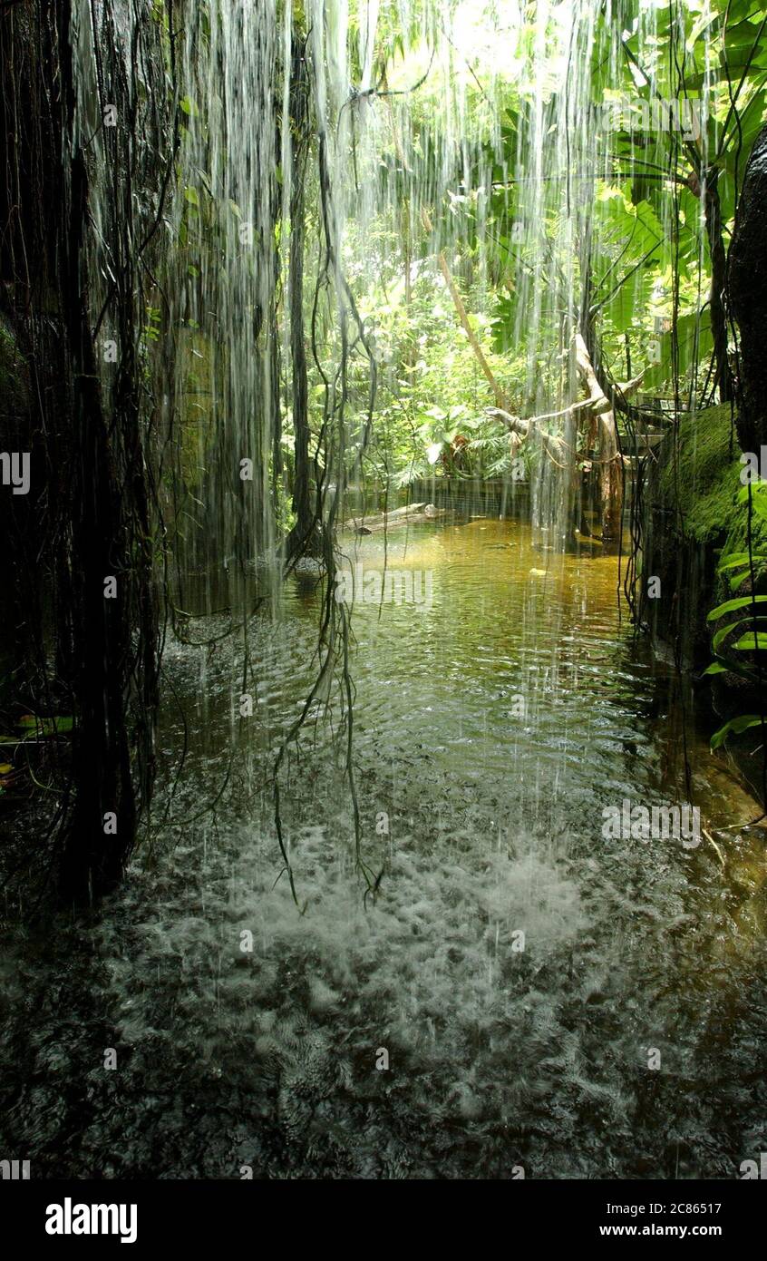 Galveston, Texas 2004: Tropical rainforest at Moody Gardens. ©Bob ...