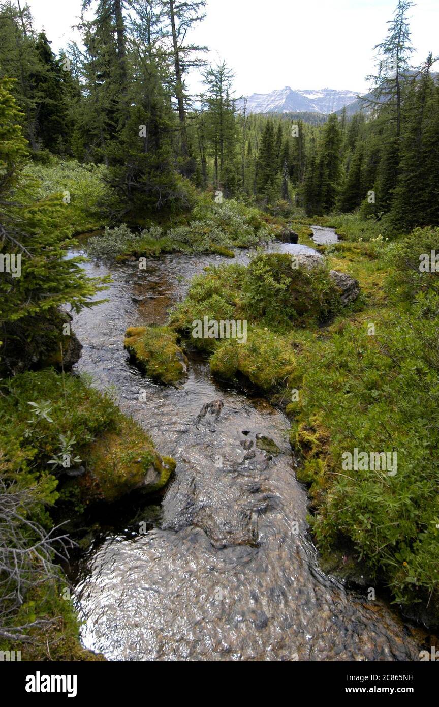 Continental divide area hi-res stock photography and images - Alamy