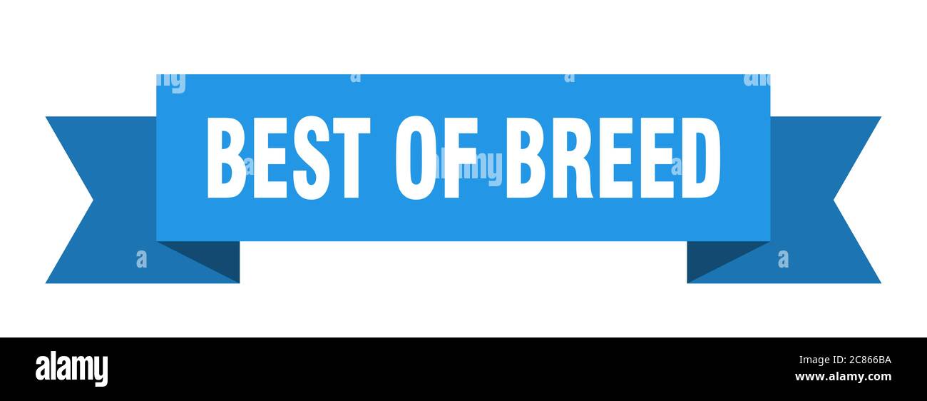 best of breed ribbon. best of breed paper band banner sign Stock Vector ...