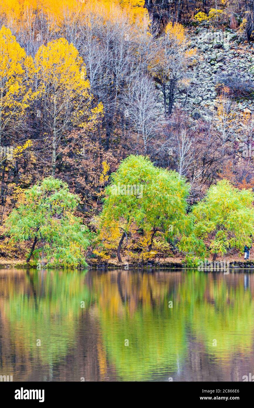Autumn landscape photography. Colorful forest background. Ankara, Cubuk ...