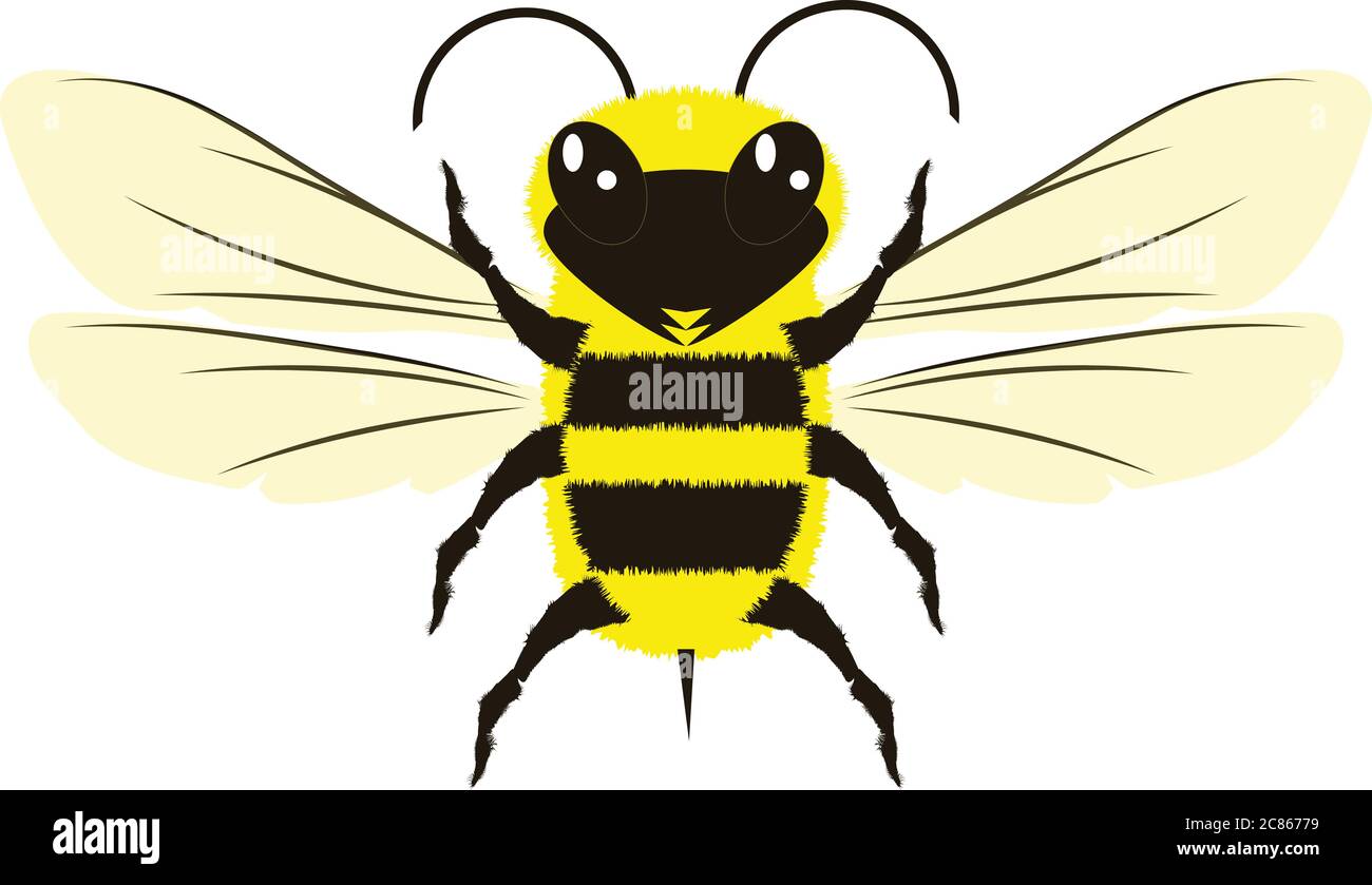 Bumble bee illustration hi-res stock photography and images - Alamy