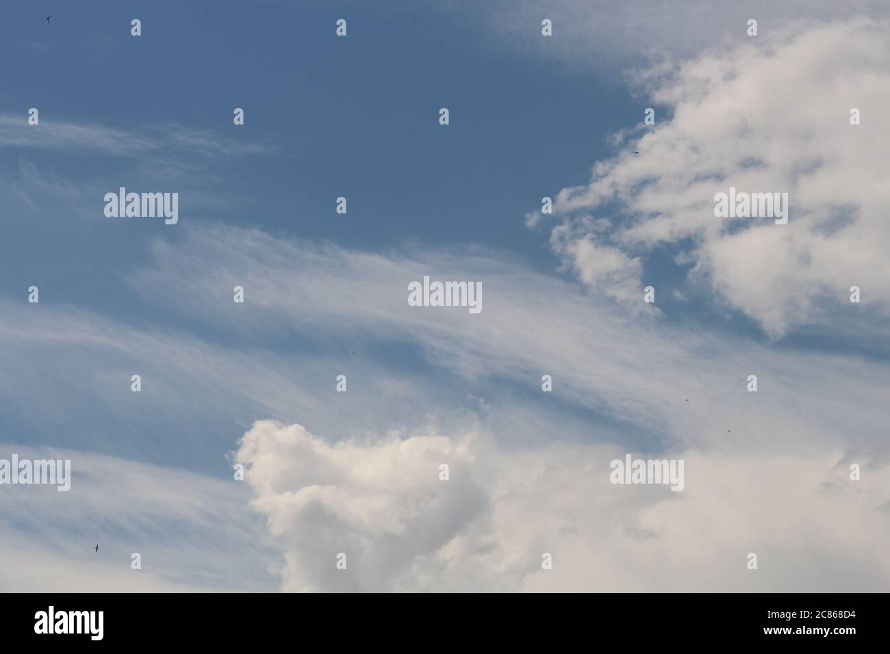 Suspended slab hi-res stock photography and images - Alamy
