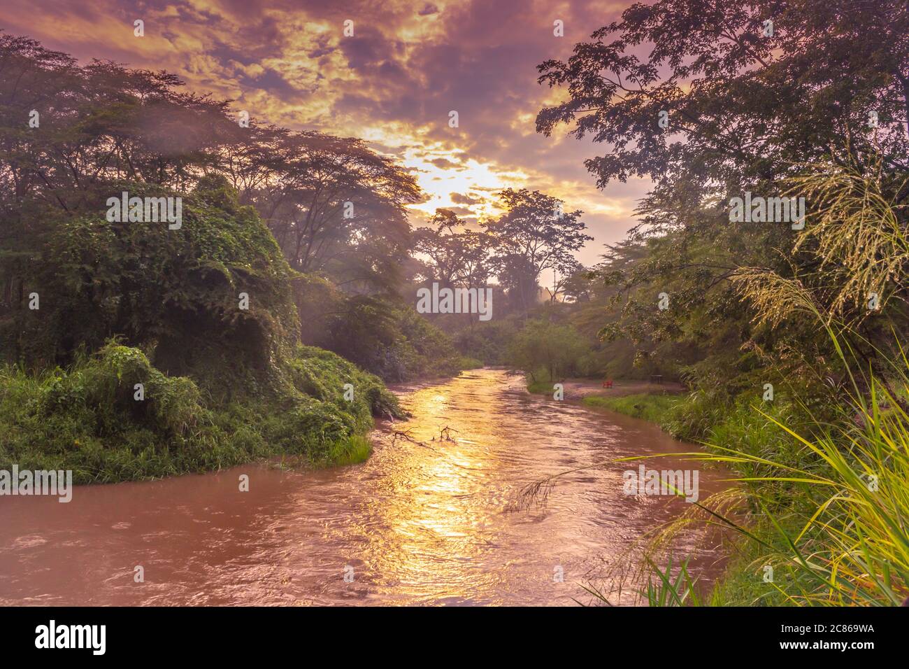 Sunrise view of Ishasha river, with trees growing and the reflections ...