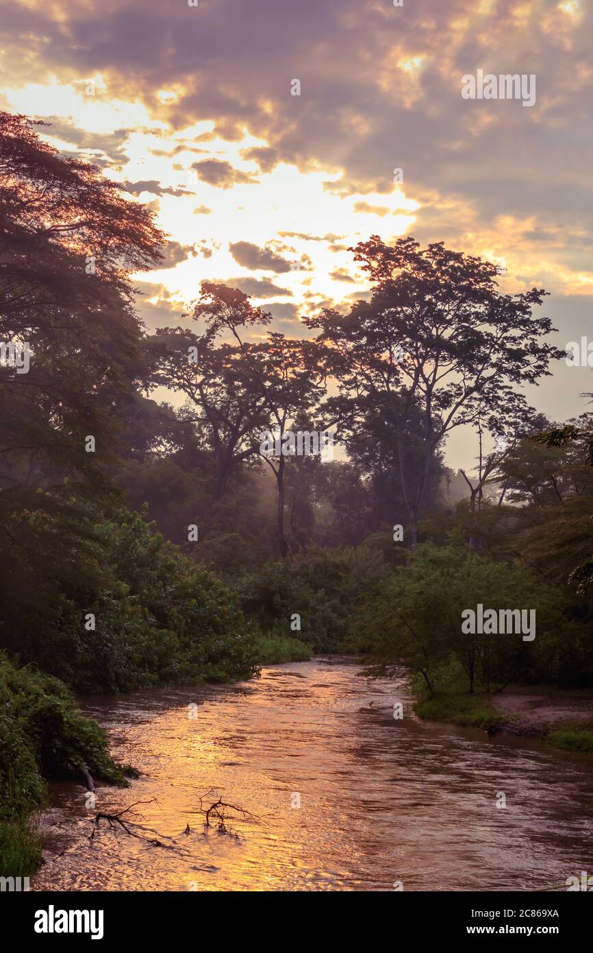 Sunrise view of Ishasha river, with trees growing and the reflections ...
