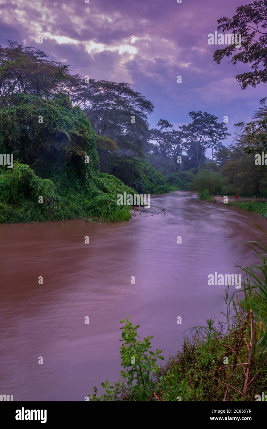 Sunrise view of Ishasha river, with trees growing and the reflections ...