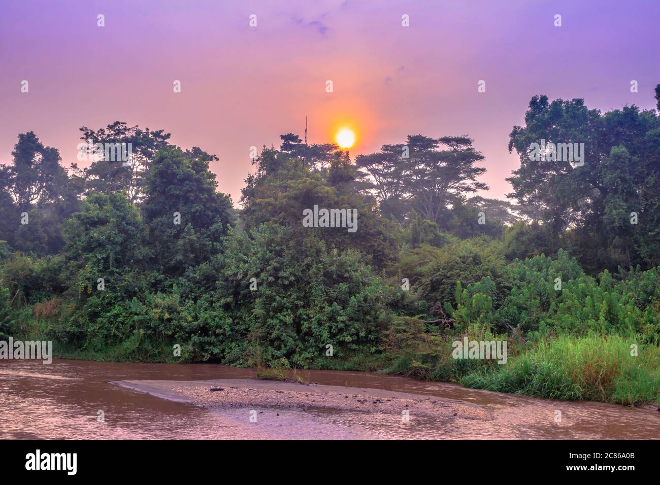 Sunrise view of Ishasha river, with trees growing and the reflections ...