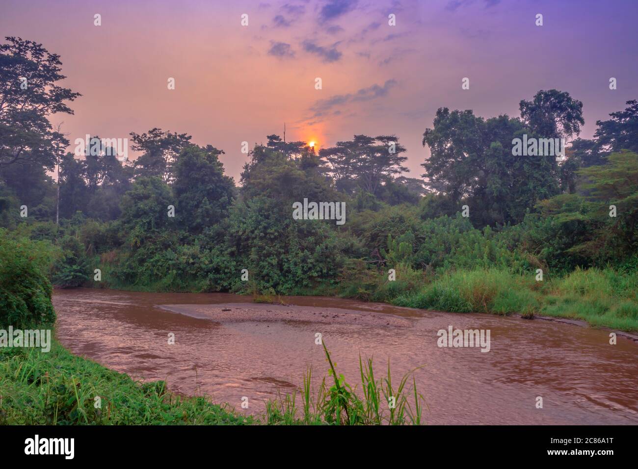 Sunrise view of Ishasha river, with trees growing and the reflections ...