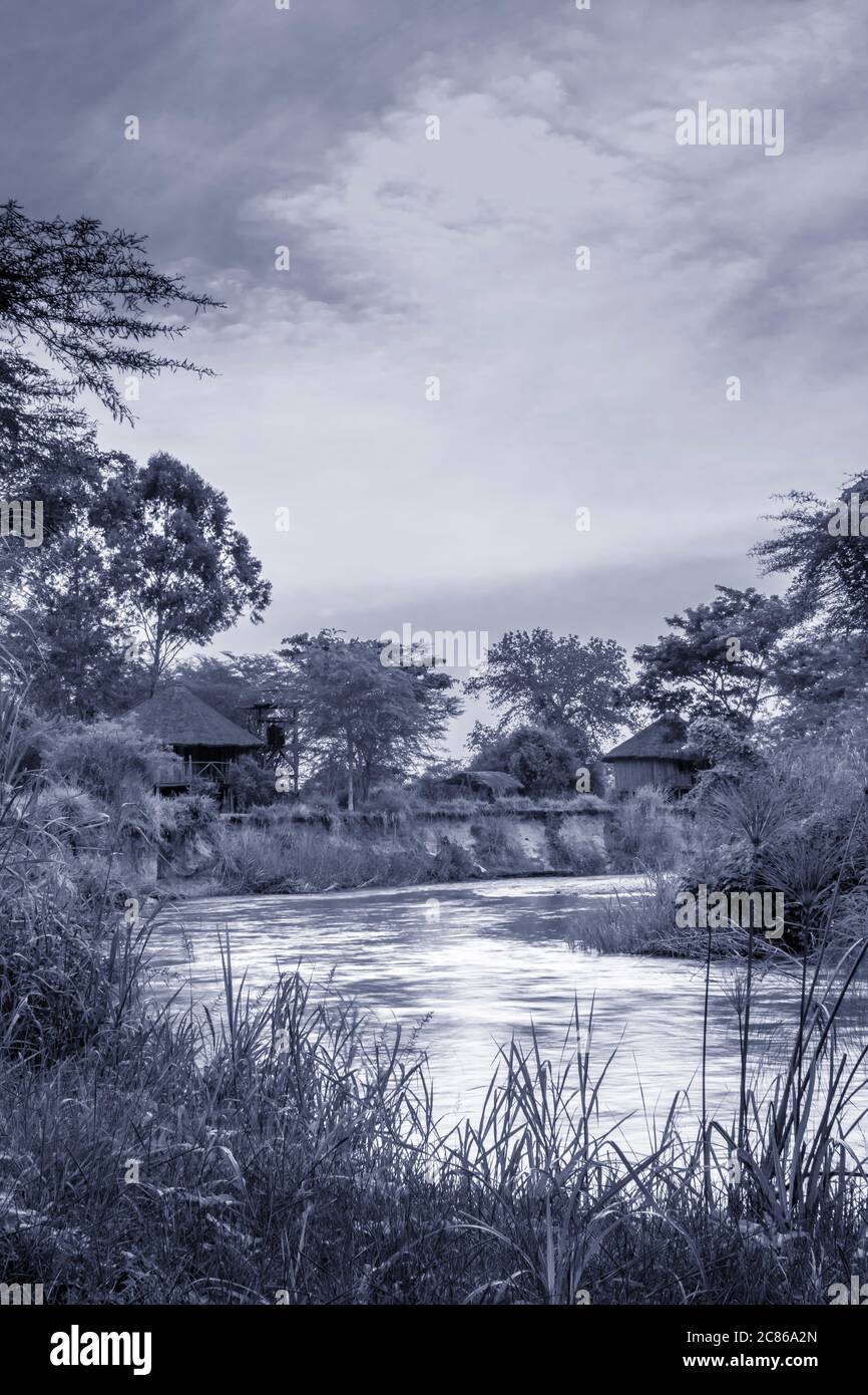 Ishasha river hi-res stock photography and images - Alamy