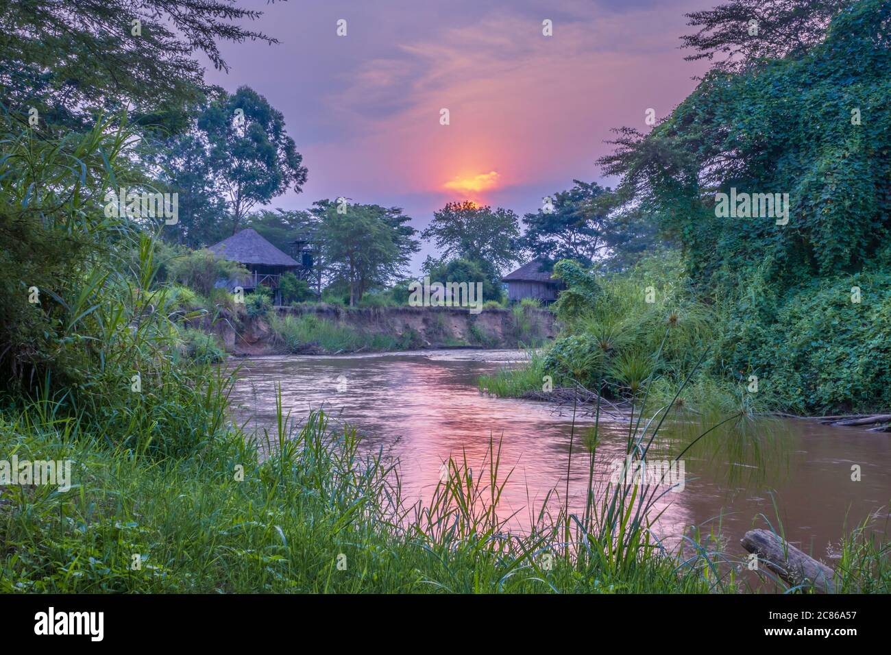Sunrise view of Ishasha river, with trees growing and the reflections ...