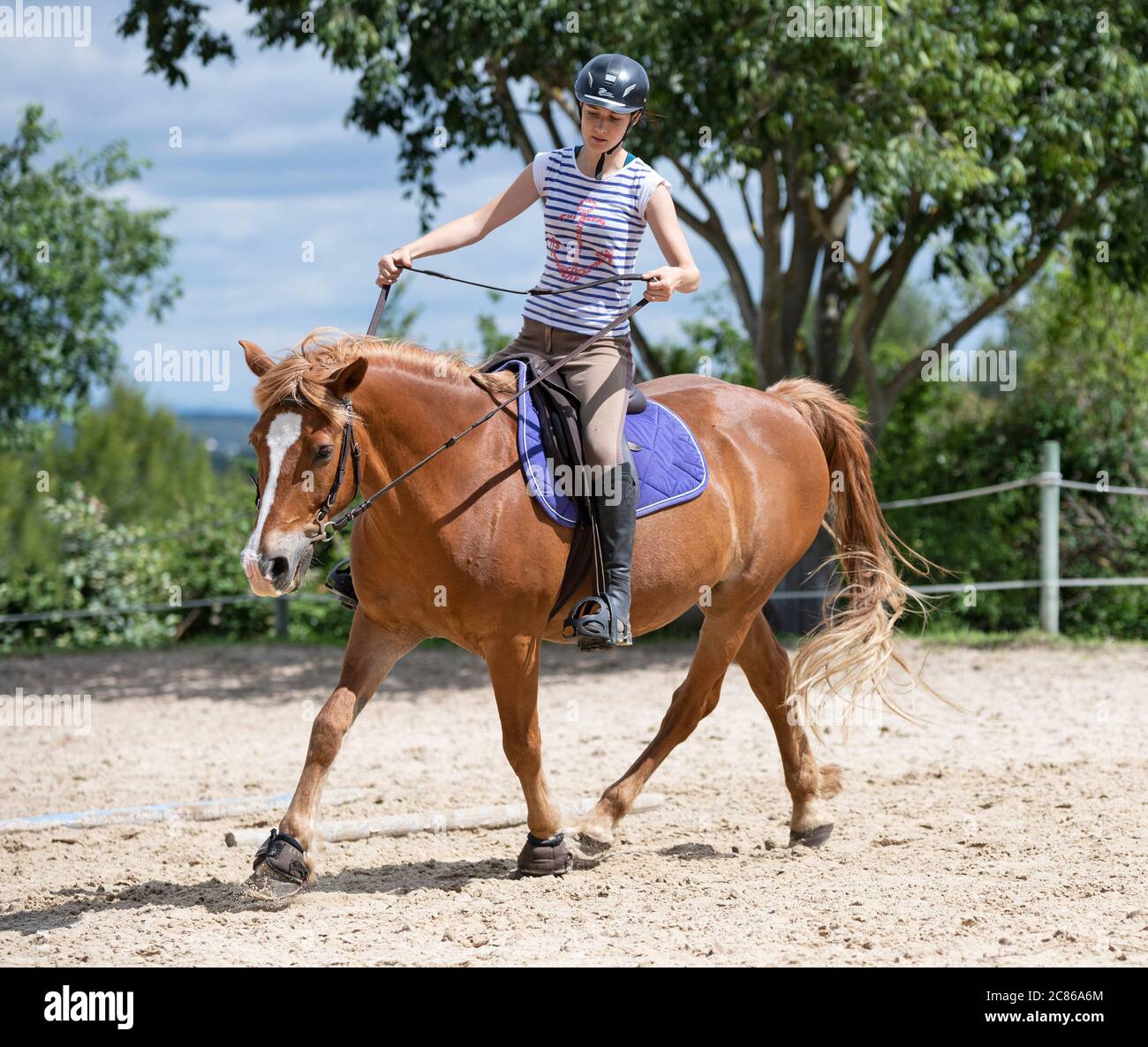 riding girl are training her horse in equestrian center Stock Photo - Alamy