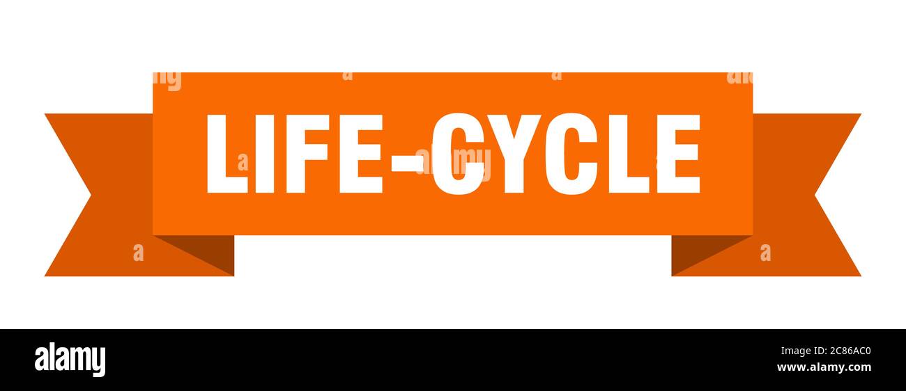 life-cycle ribbon. life-cycle paper band banner sign Stock Vector Image ...