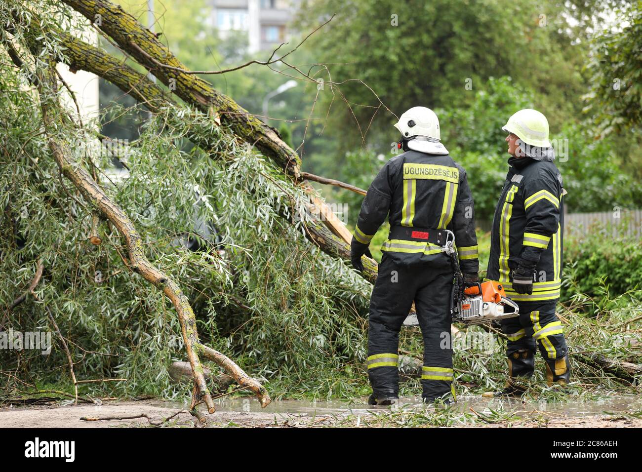 firefighters and police officer help clean up the effects of a fallen ...