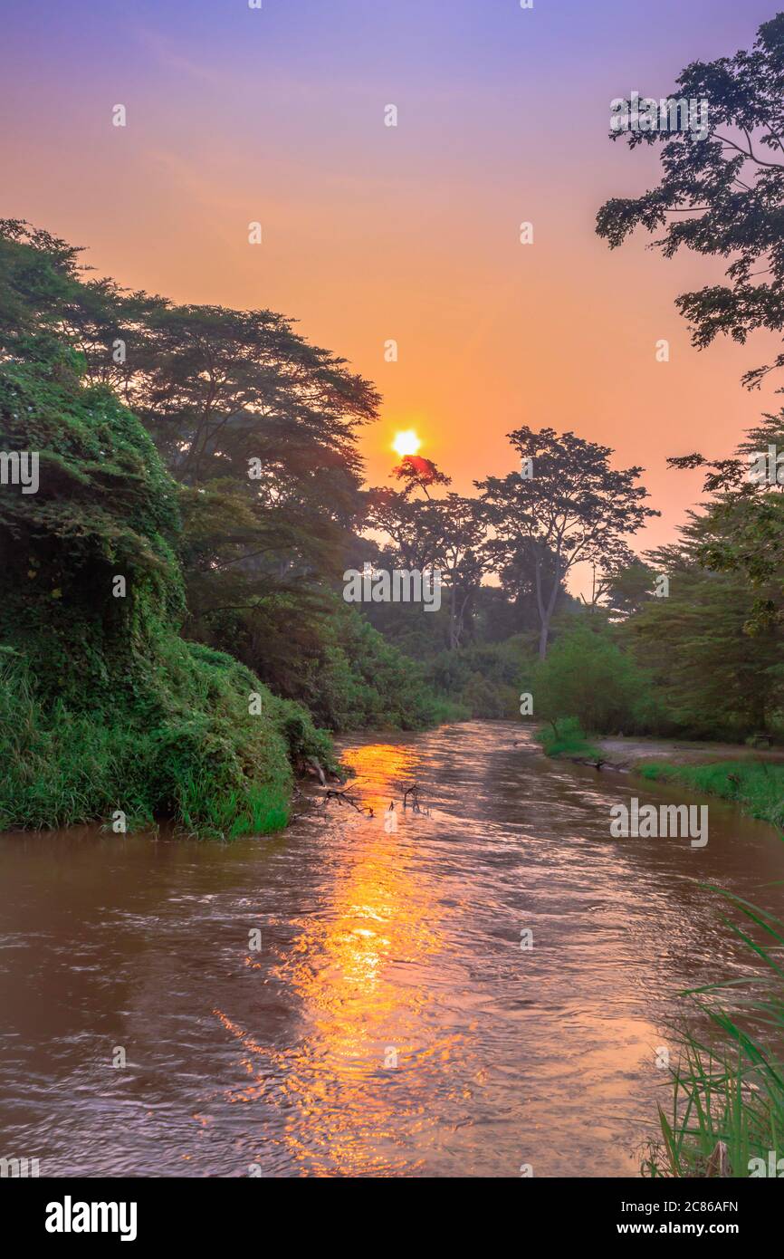 Sunrise view of Ishasha river, with trees growing and the reflections ...