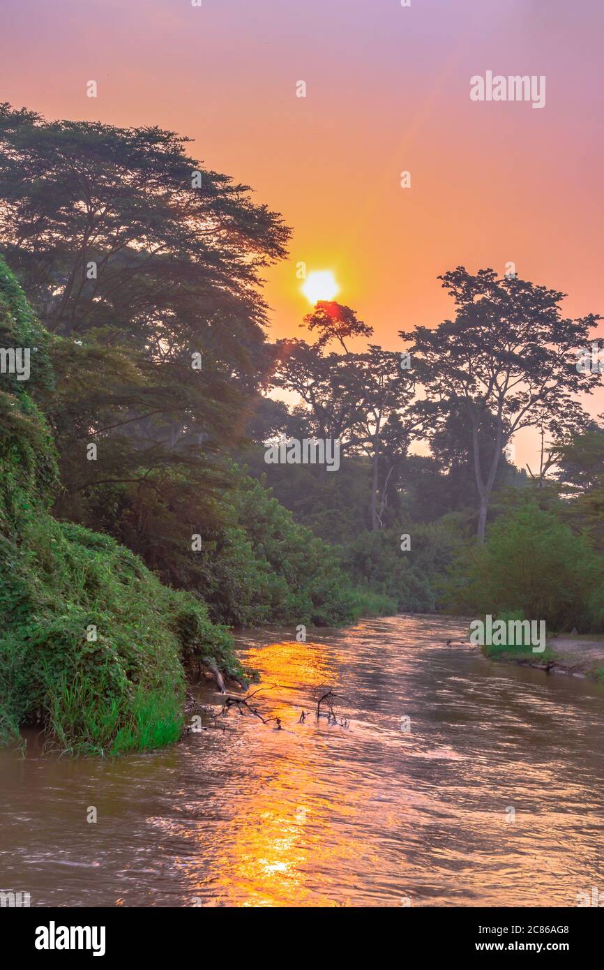 Sunrise view of Ishasha river, with trees growing and the reflections ...