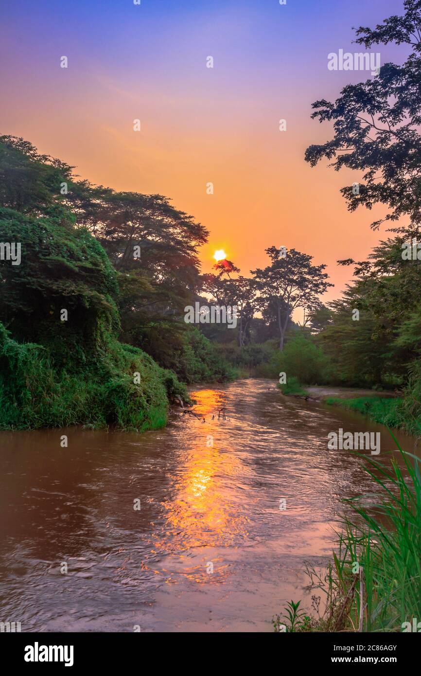 Ishasha river hi-res stock photography and images - Alamy